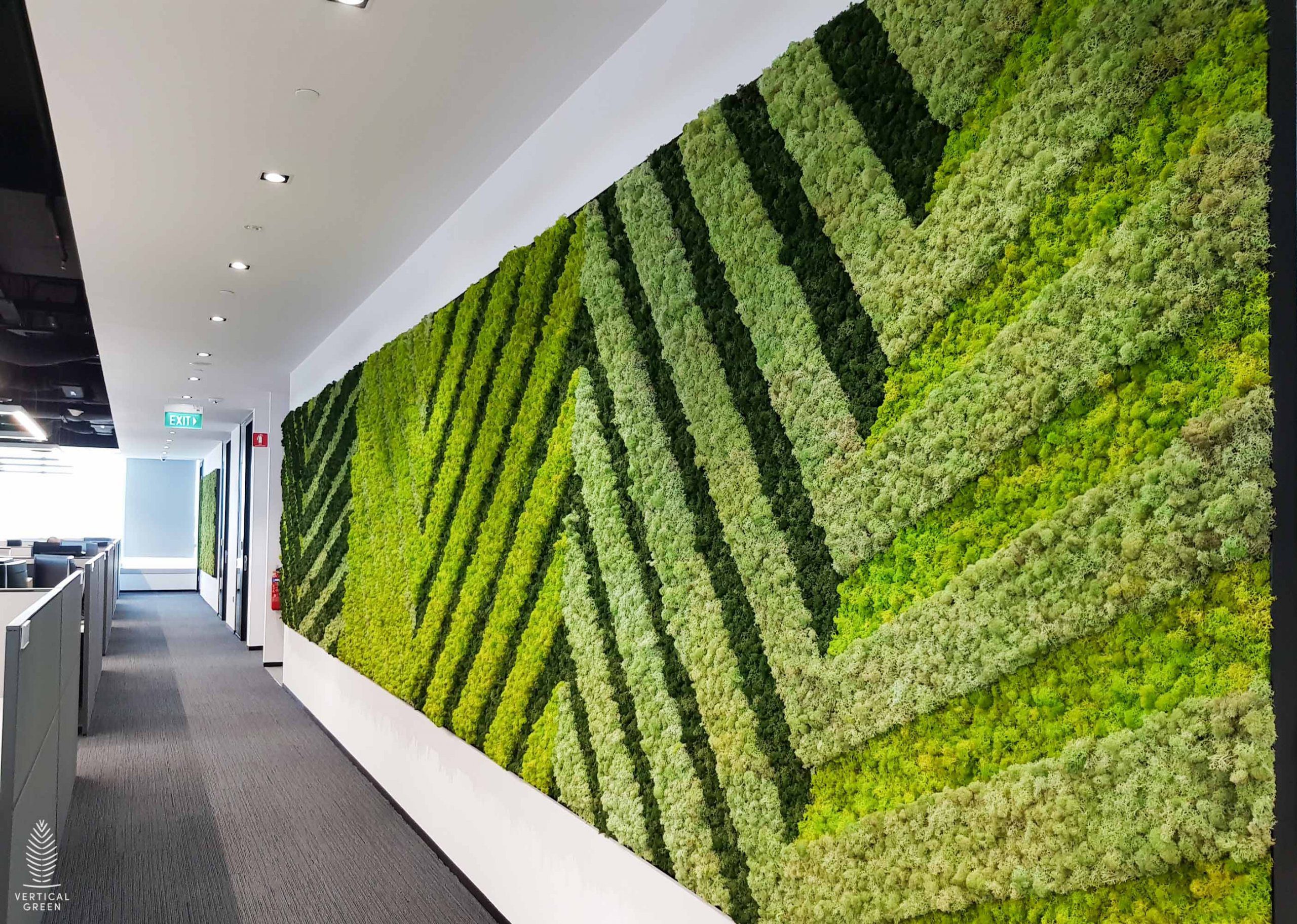 Will Preserved Moss Grow At Julia Kromer Blog Will Preserved Moss Grow At Julia Kromer Blog