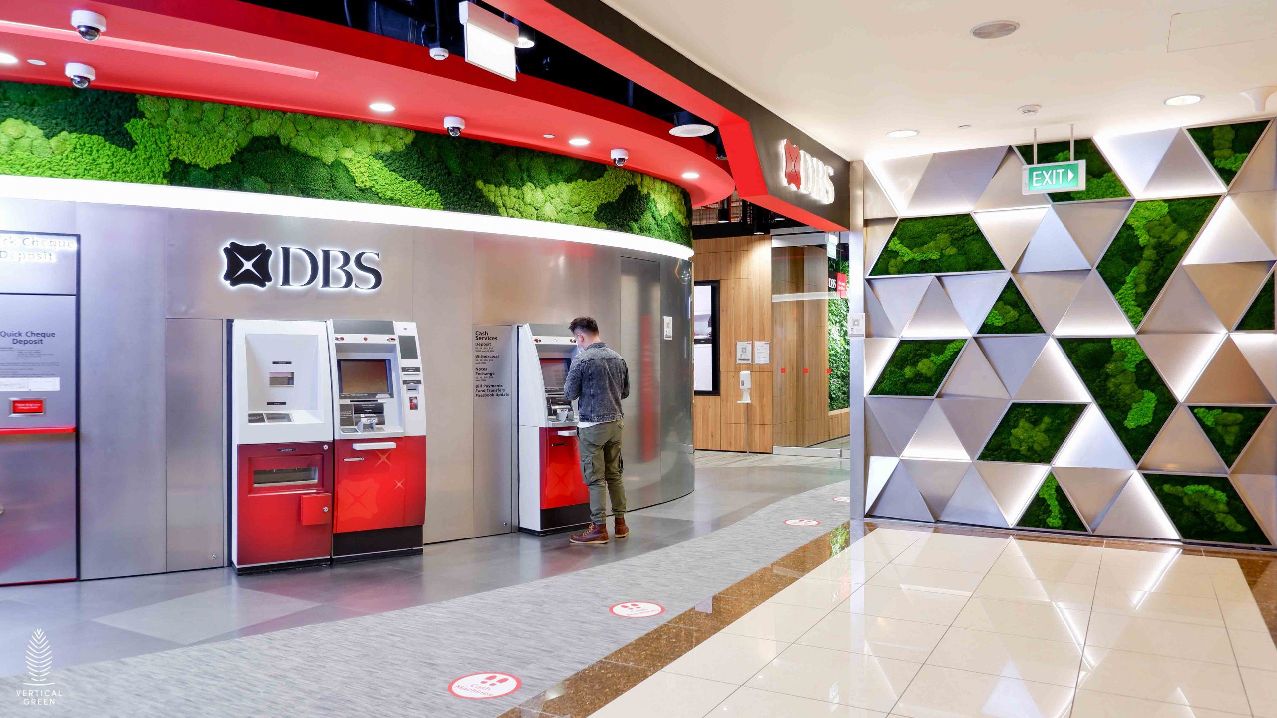 Which Preserved Moss Wall is Best for You? | Vertical Green