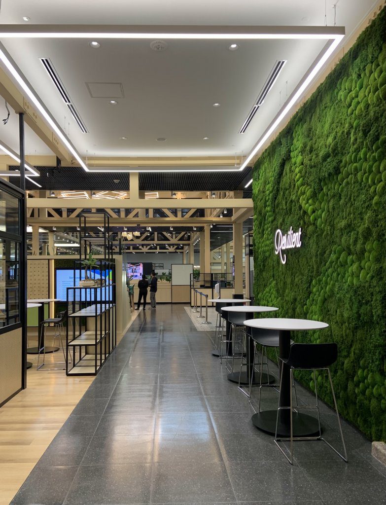 Green Wall Offices and Offices with Living Walls | Vertical Green