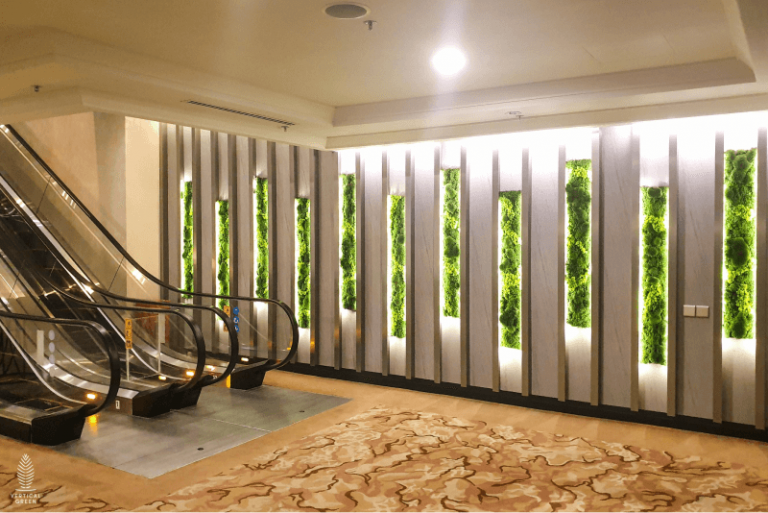 Green Wall for Hotels and Resorts | Vertical Green
