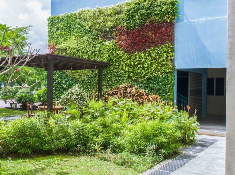 The Importance of Biophilic Designs in Schools | Vertical Green